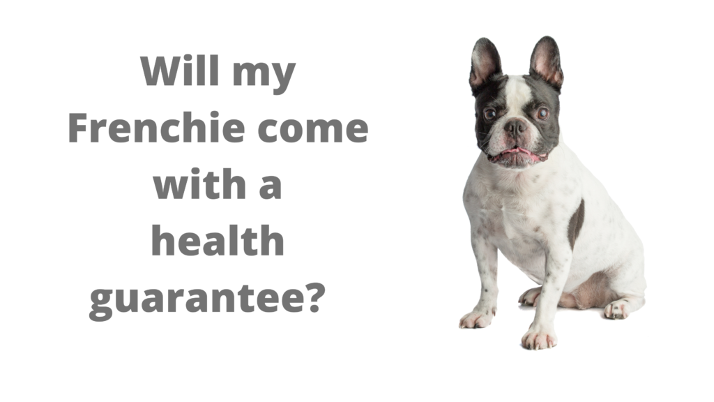 Will my Frenchie come with a health guarantee? - Frenchies Naturally